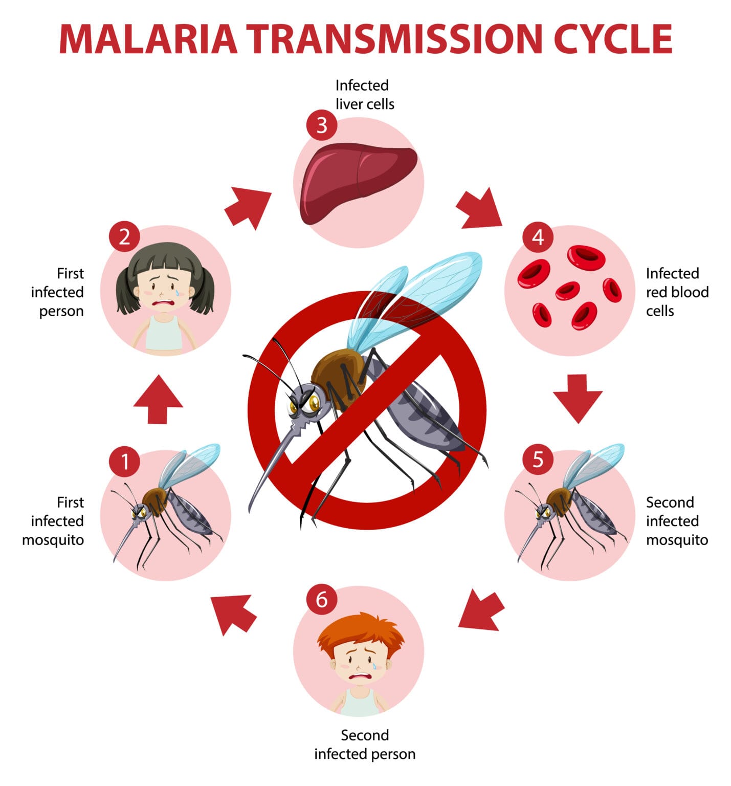 Get to Know Malaria Better: Causes, Symptoms, and Types of Drugs Used ...